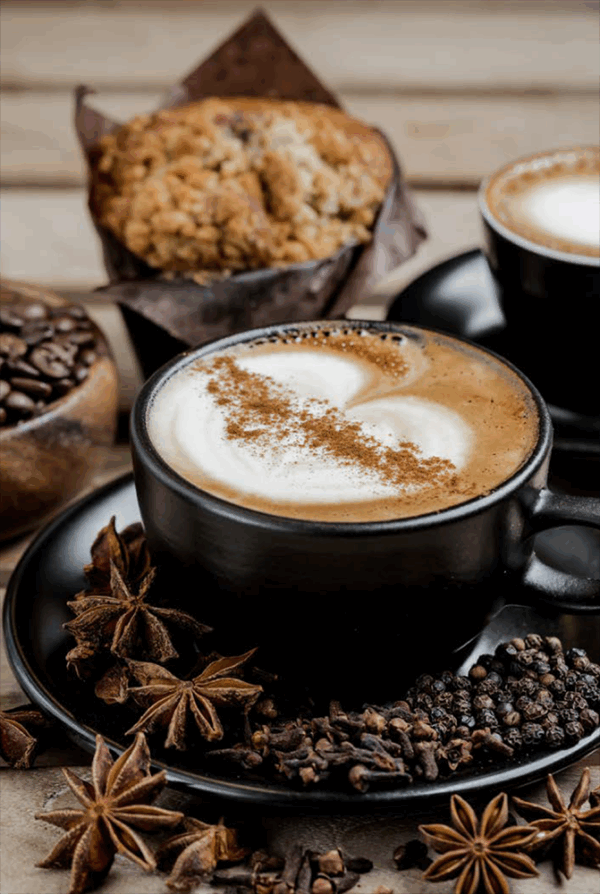 Winter Spice Latte – Mr. Espresso